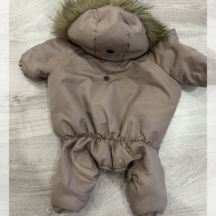 Одежда для собак мелких пород