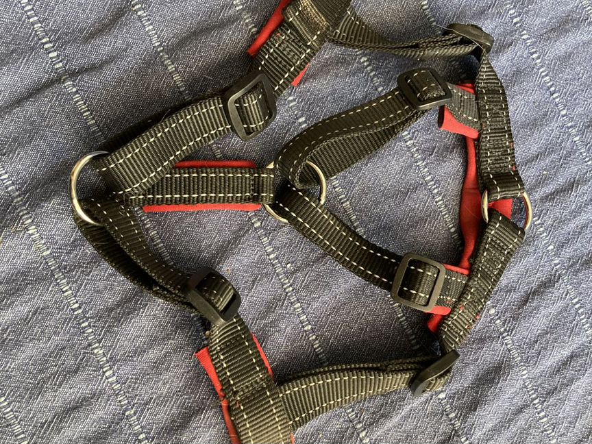 Шлейка для собак Trixie Lead'n'Walk Soft р-р S-M