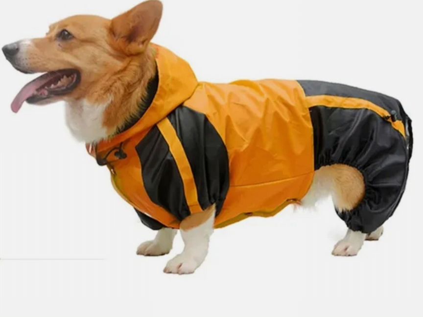 Дождевик для собаки