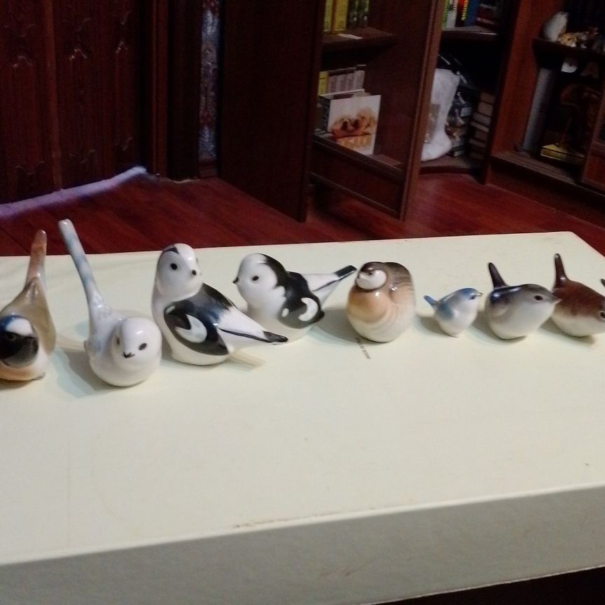 Лесные птицы