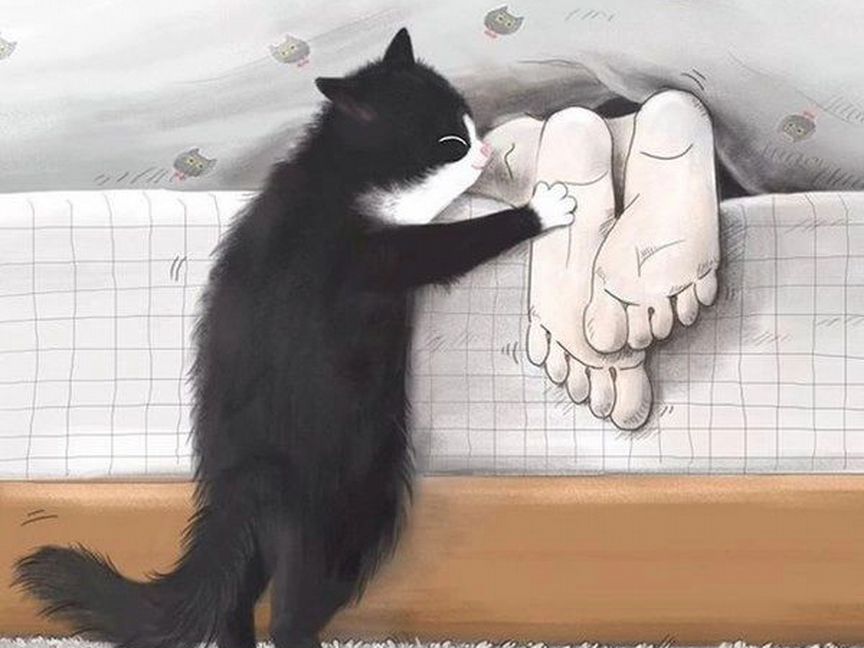 Дом для кошек и собак