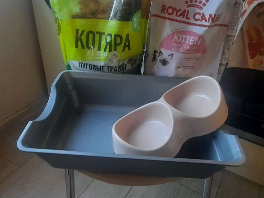 Лоток, миска, корм и наполнитель для котенка/кошки
