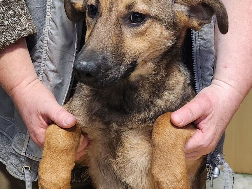 Нежная малышка Нора