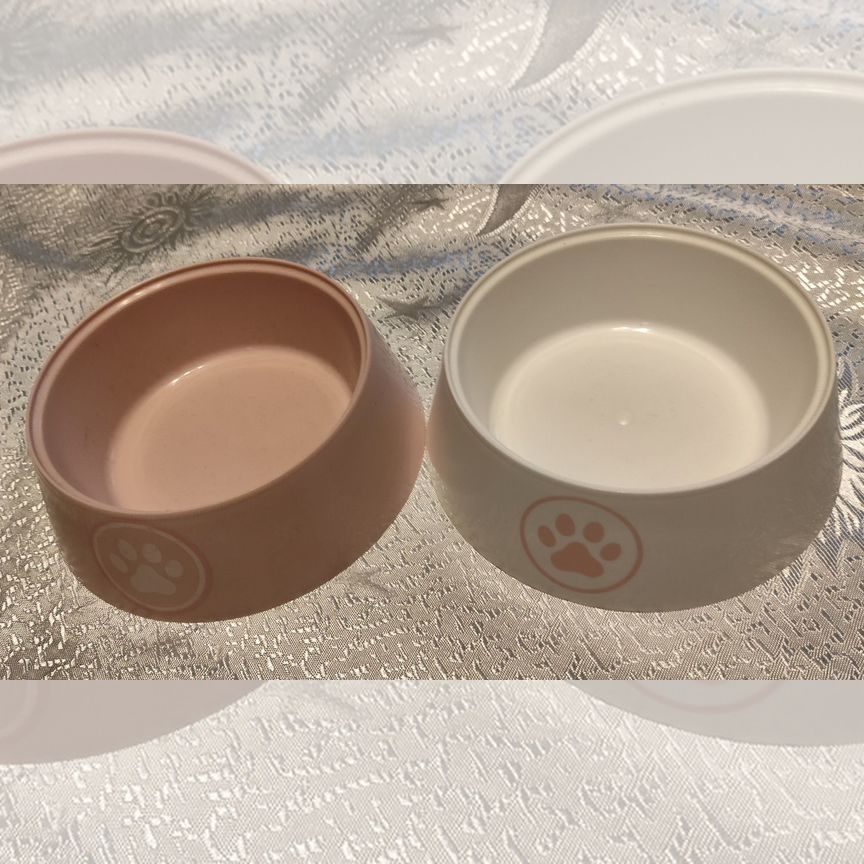 Миски для кошки