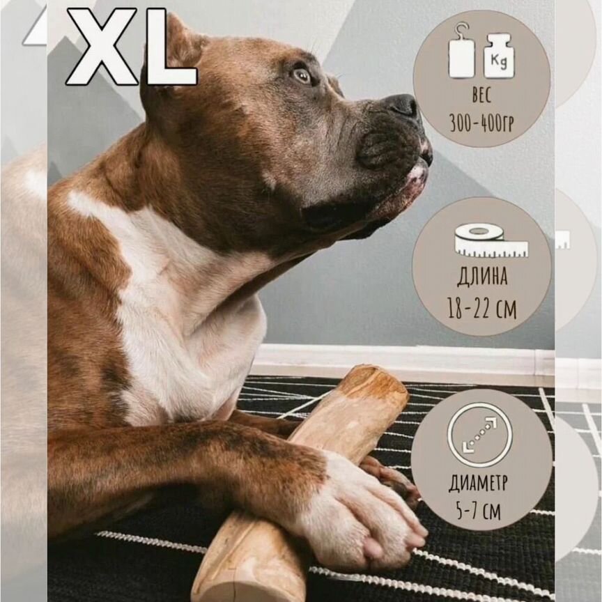 Палка кофейного дерева доя собаки XL