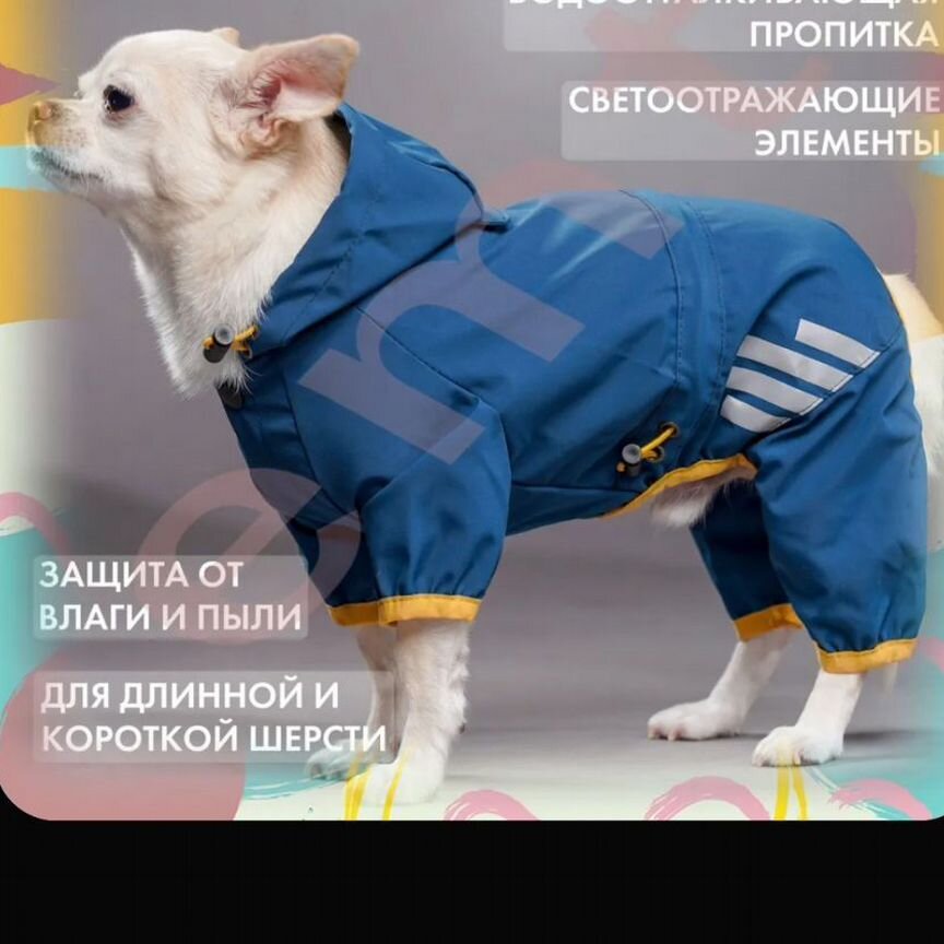 Одежда для маленьких собак