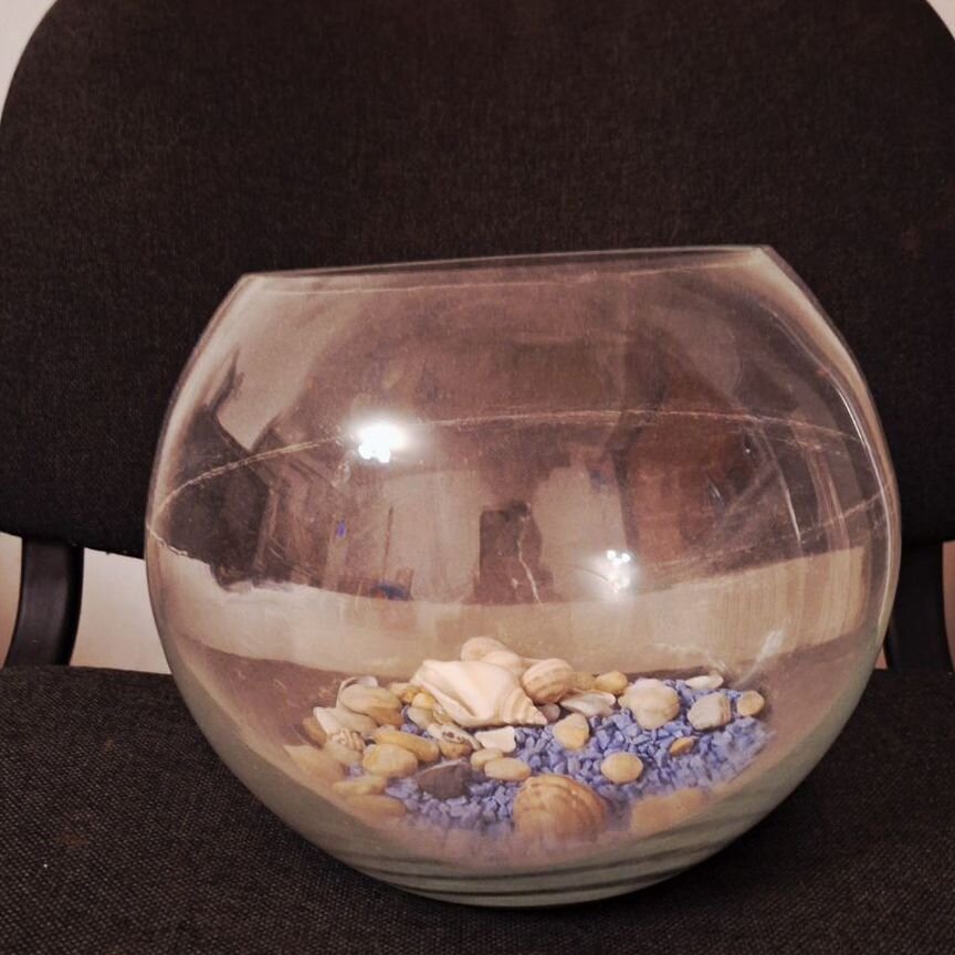 Аквариум с камушками и ракушками в дар