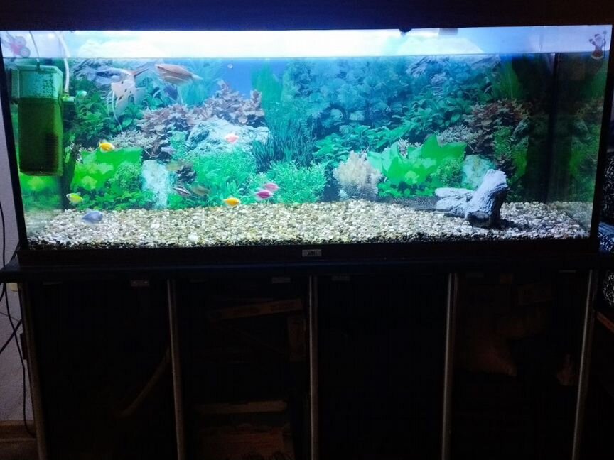 Аквариум juwel 240L. С тумбой