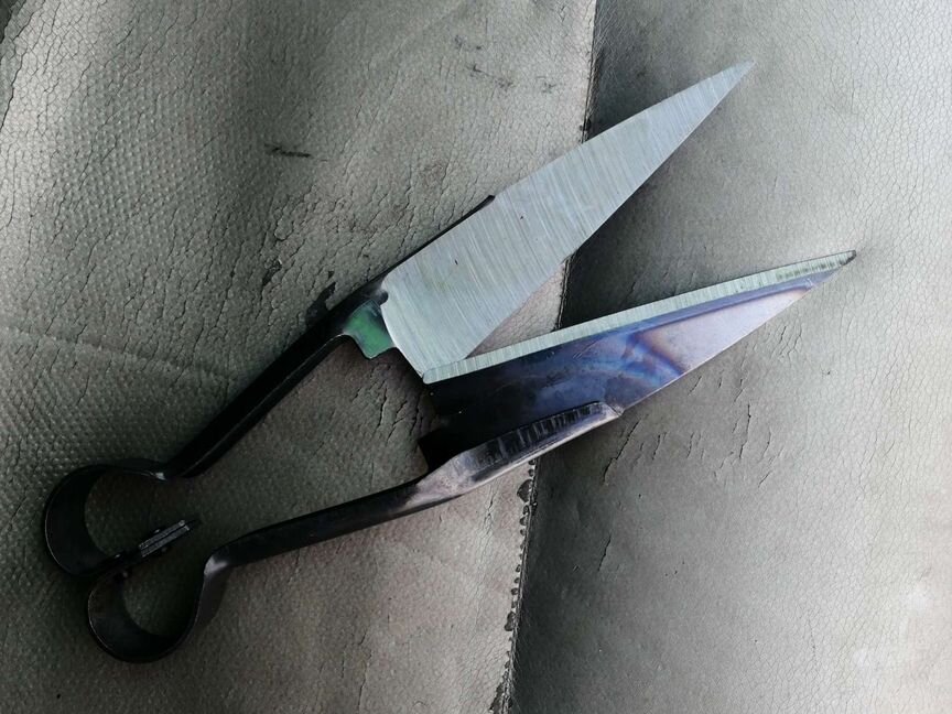 Ножницы для стрижки овец