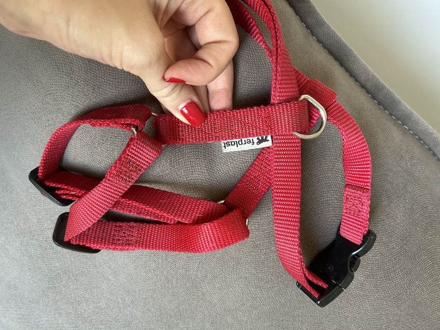 Анатомическая шлейка Ferplast Champion Medium