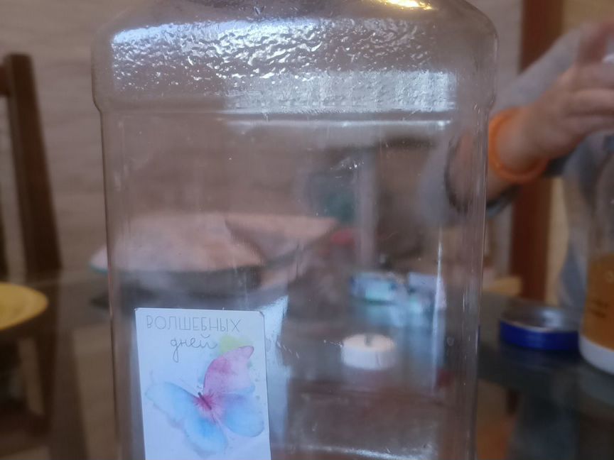 Бабочкарий