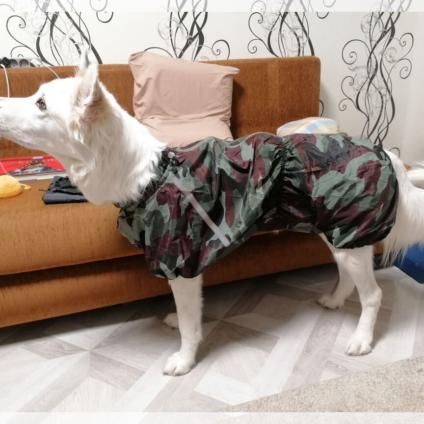 Комбенезон для собаки (кобель)