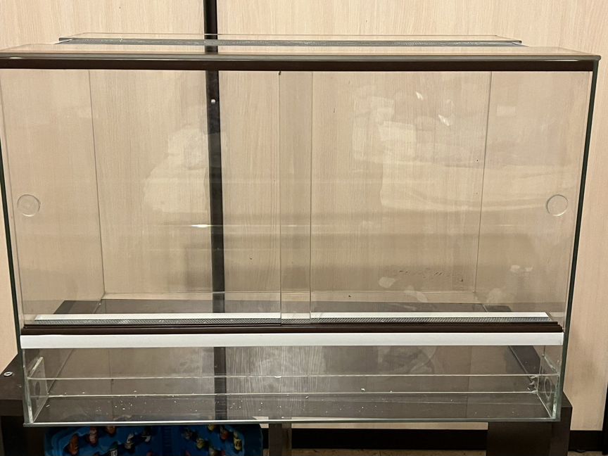 Террариум, дом кокос и маленькая поилка