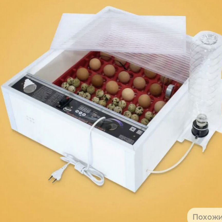 Инкубатор блиц