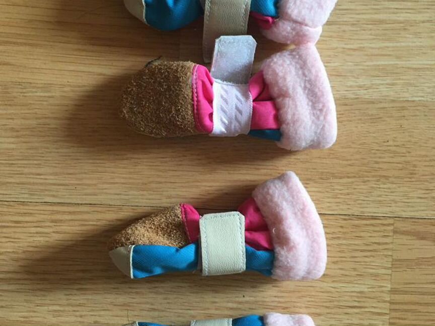 Ботинки и сапожки для собаки