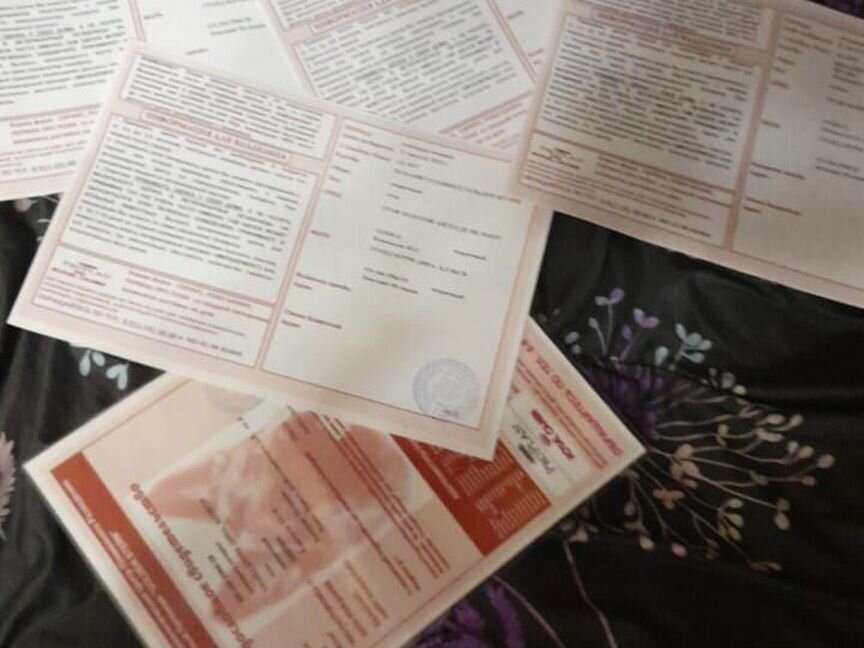 Щенки немецкой овчарки