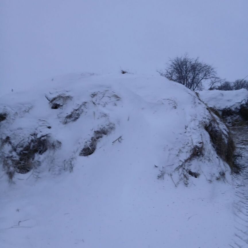 Сено россыпью