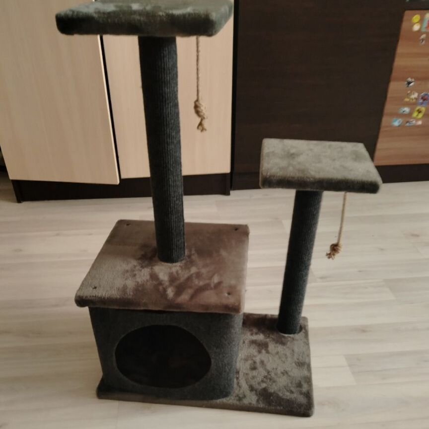 Когтеточка