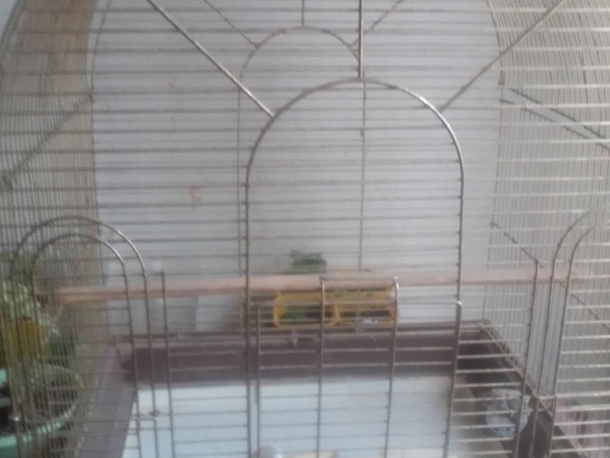 Большая клетка для птиц