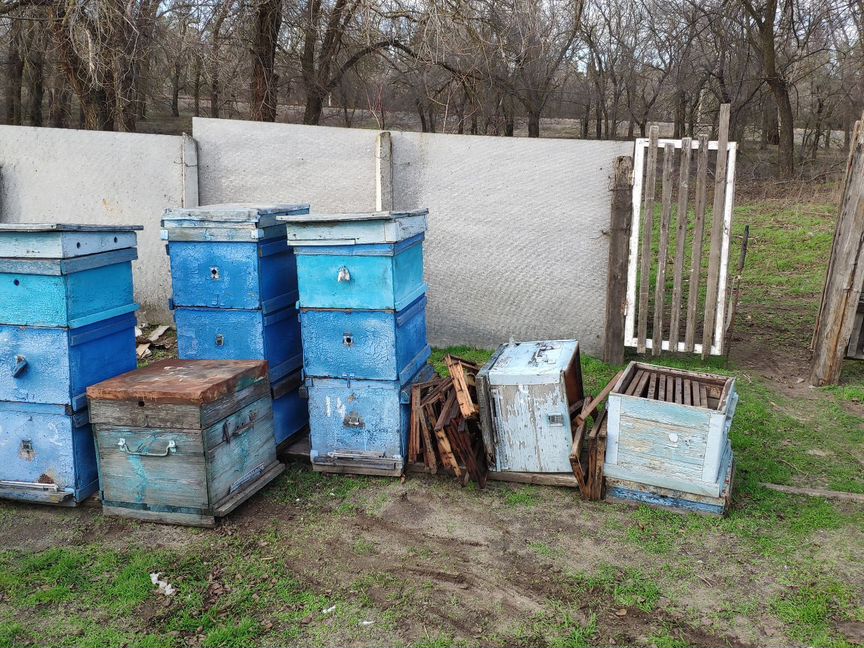 Пчелиное хозяйство