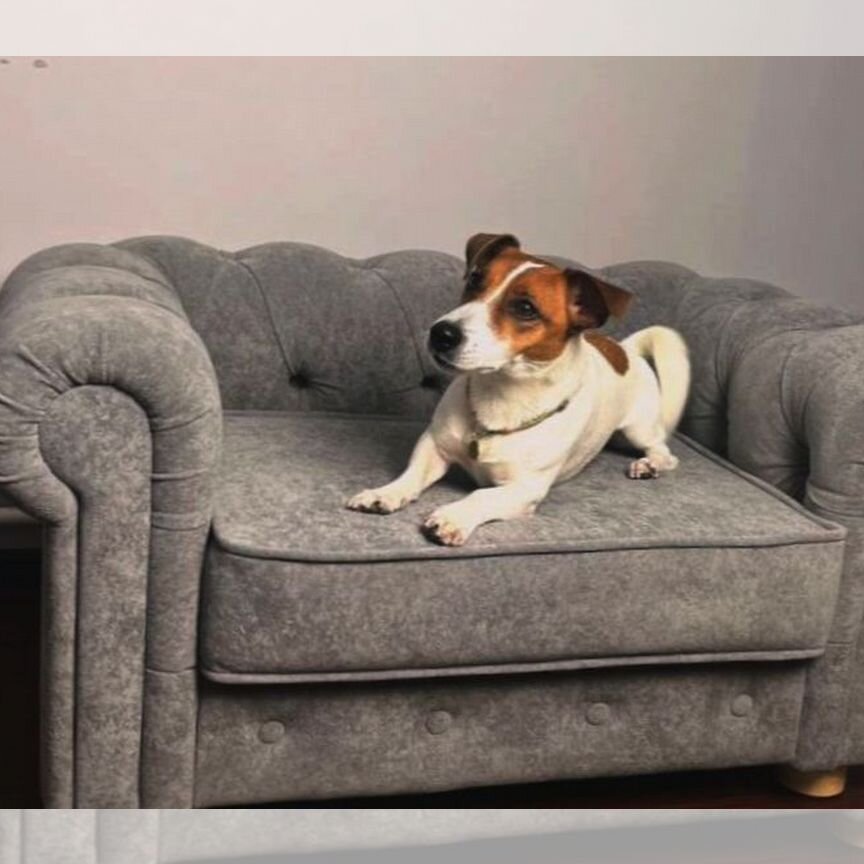 Собачья лежанка