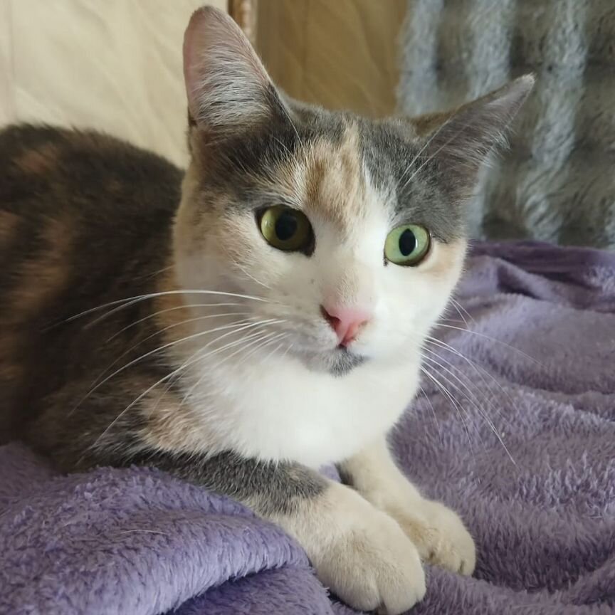 Буся,10месяцев