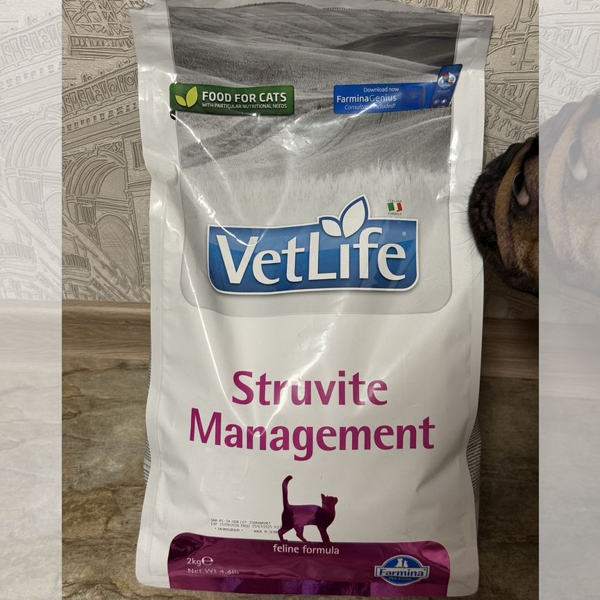 Корм для кошек VetLife
