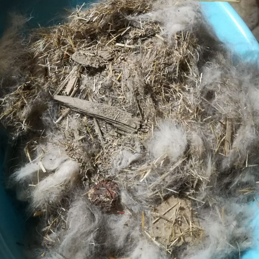 Игрушки для животных