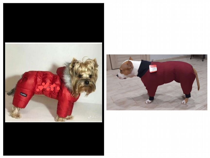 Два комбеза на разных собак 45см по спинке и 28см