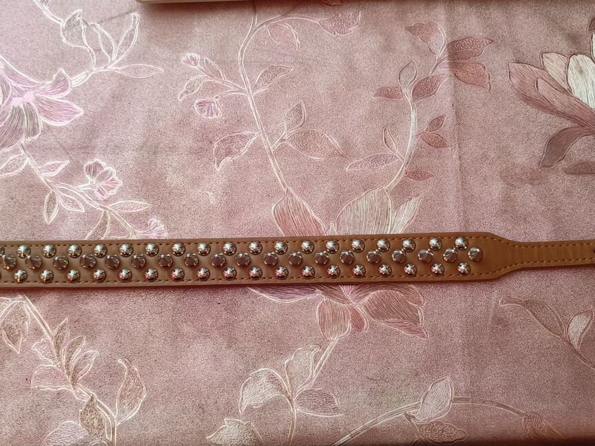 Ошейник для собак