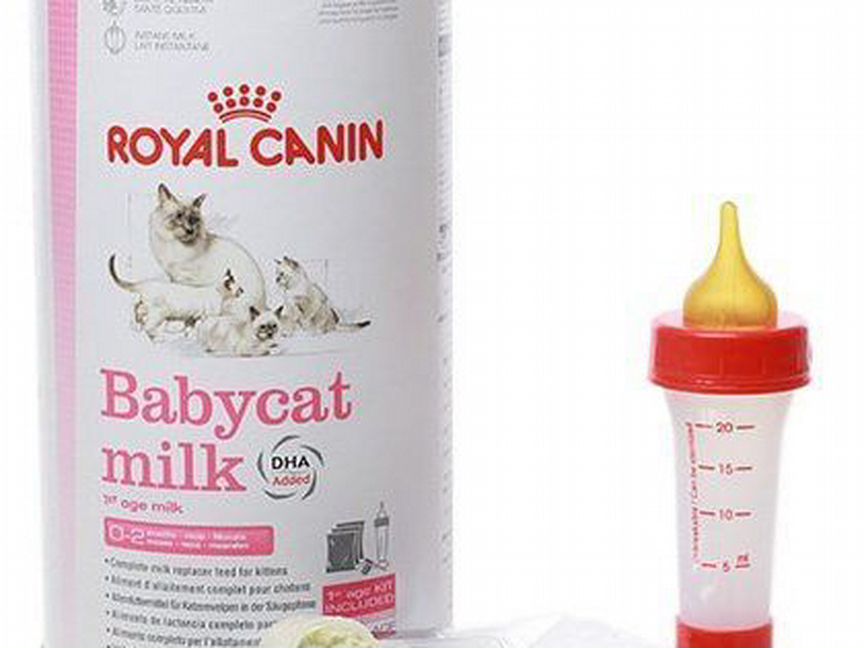 Сухое молоко для котят