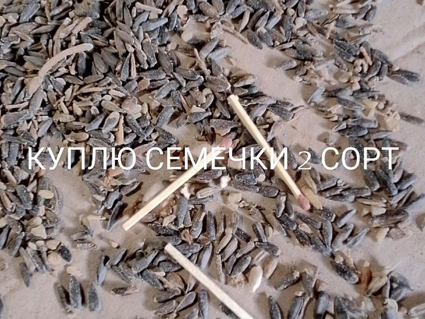 Семечки подсолнечника 2 сорт,отходы