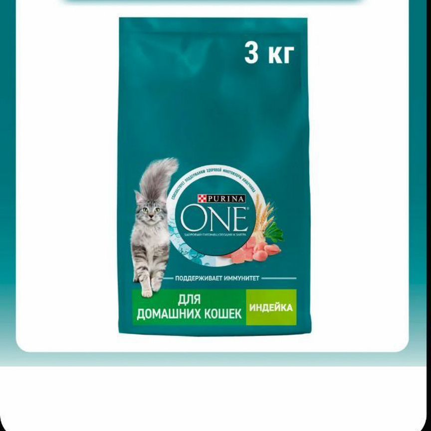 Корм для кошек пурина оне