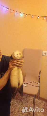 Харек ручной