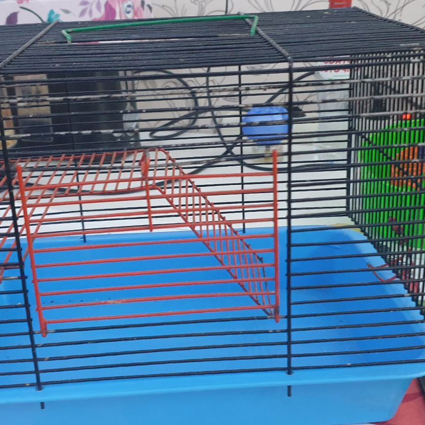Клетка для грызунов