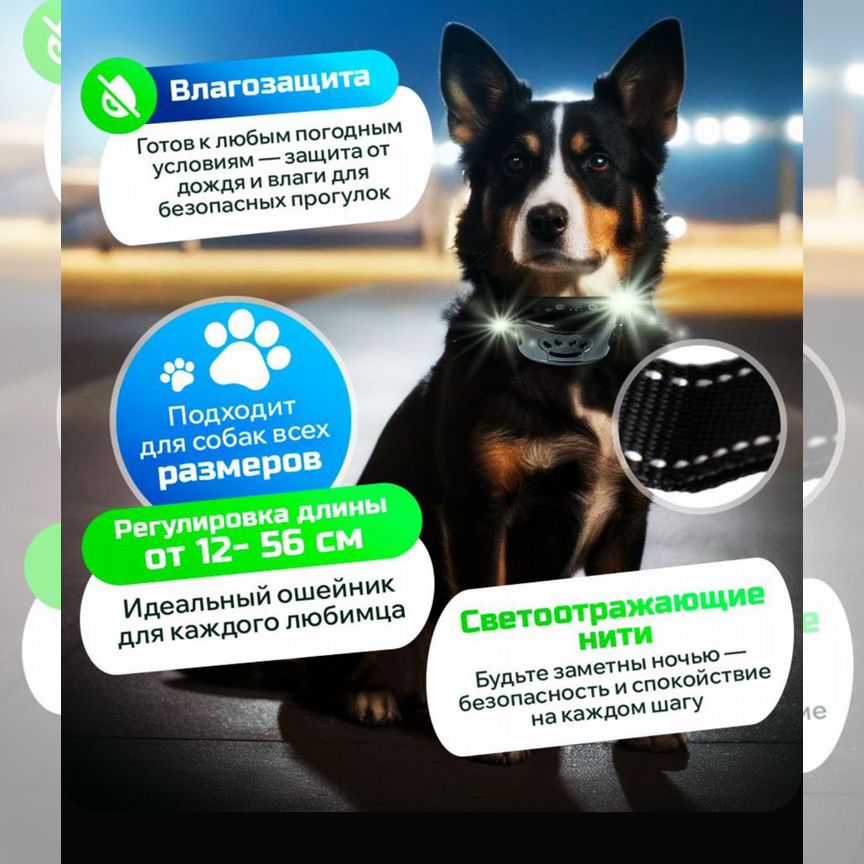 Ошейник антилай