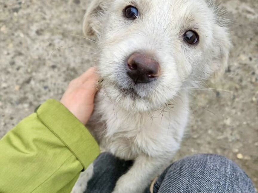 Заберите меня в добрые ручки