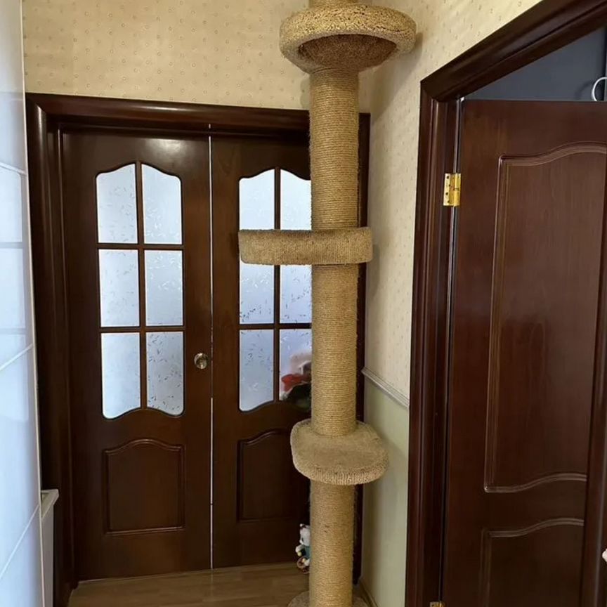 Когтеточка