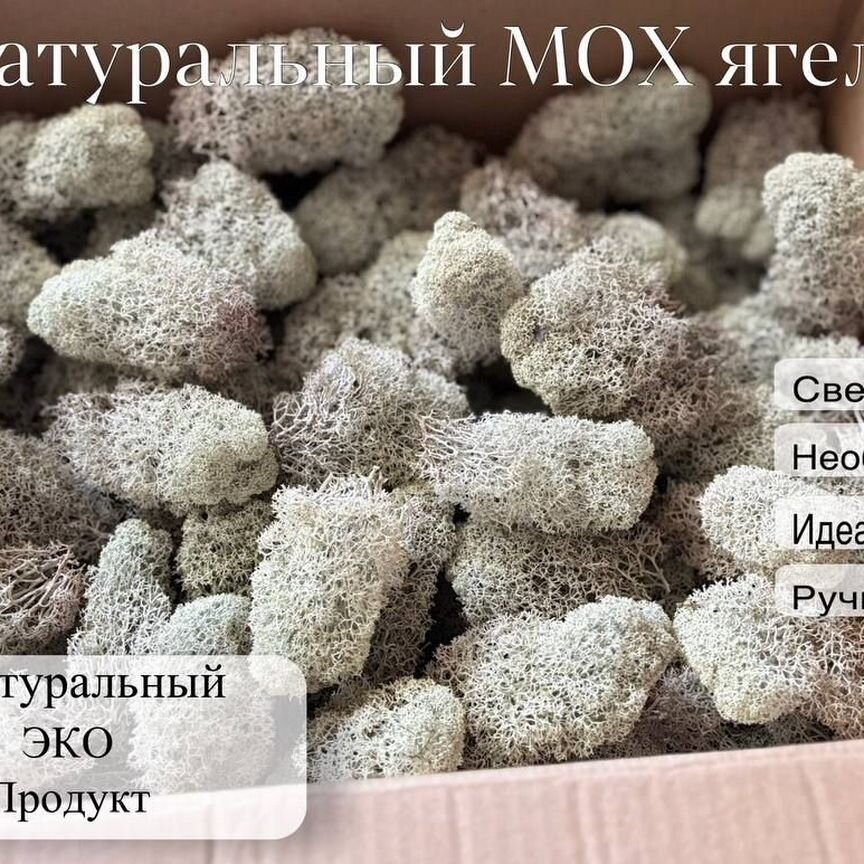 Мох для улиток