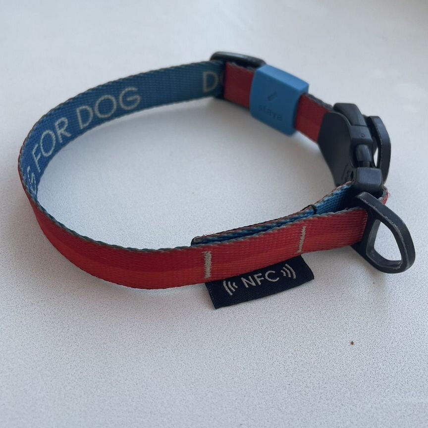 Ошейник staya