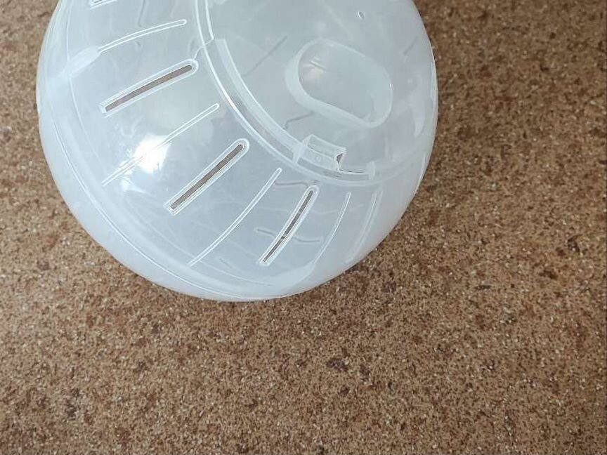 Шар для шиншиллы