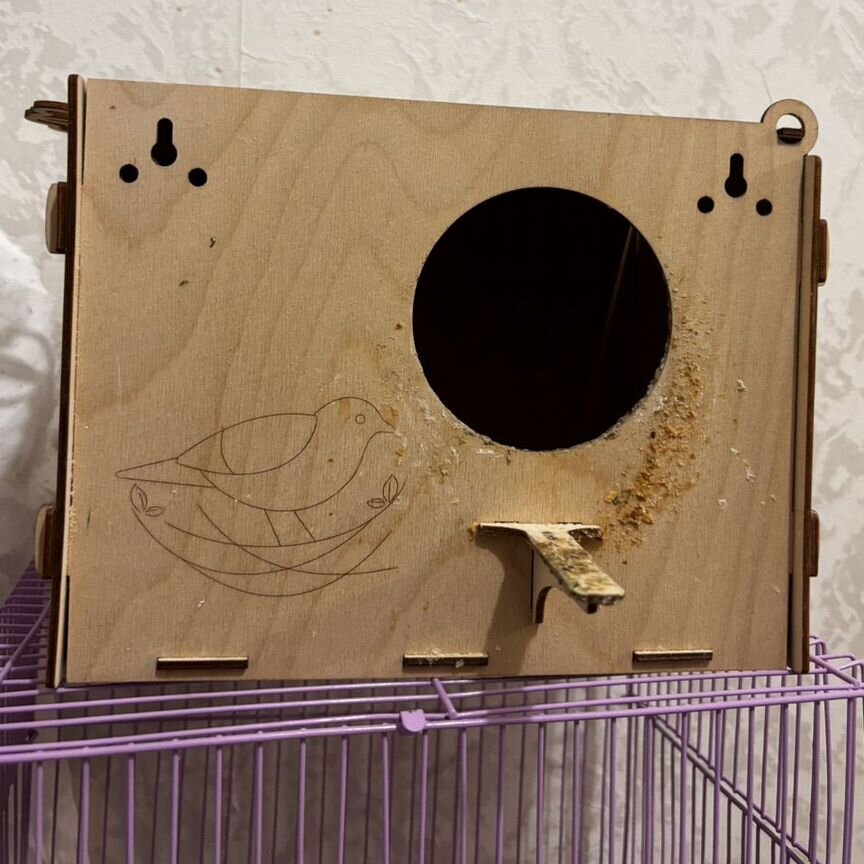 Гнездо для попугаев