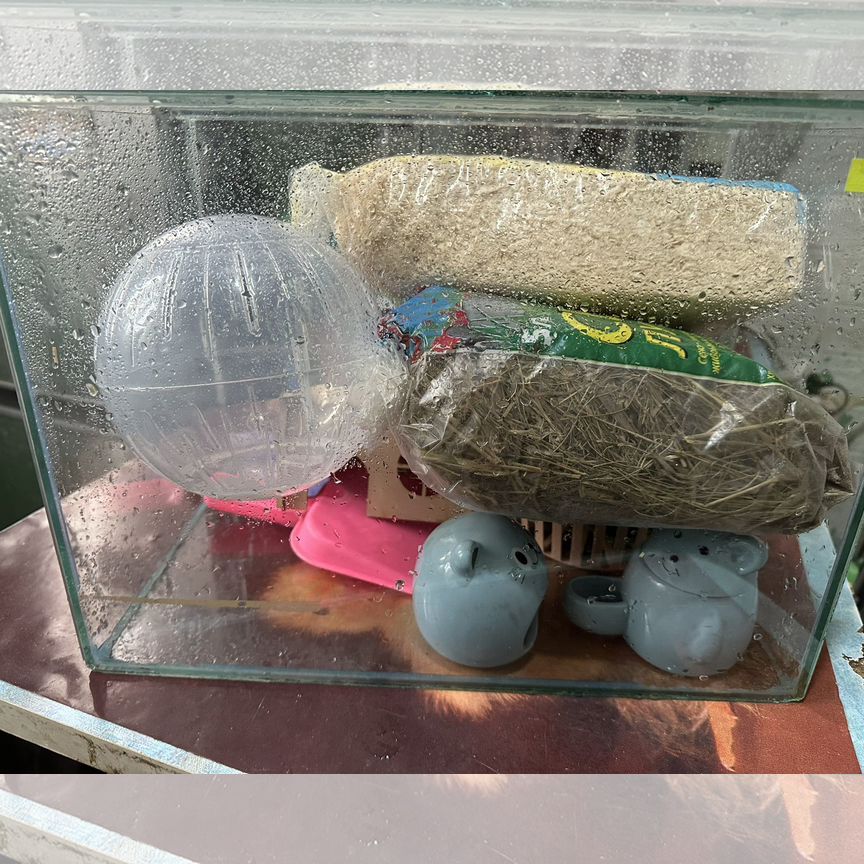 Аквариум для хомяка и крышка