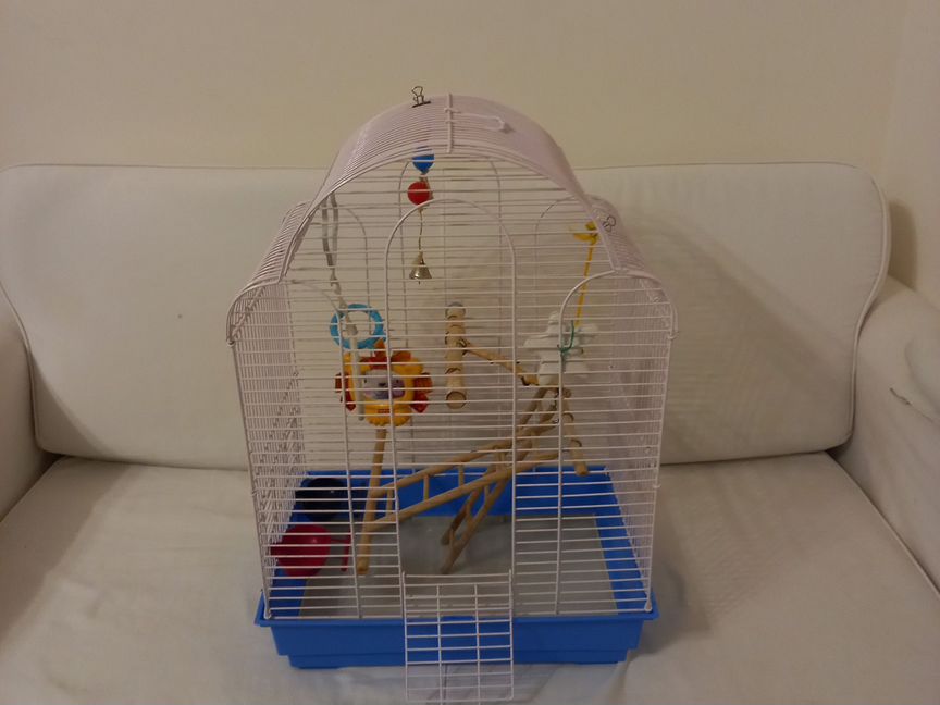 Клетка для волнистого попугая