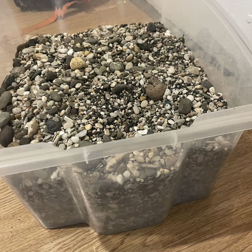 Грунт для аквариума галька