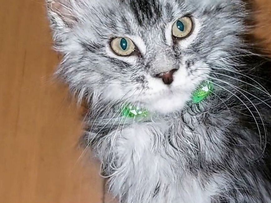 Шикарный мальчик