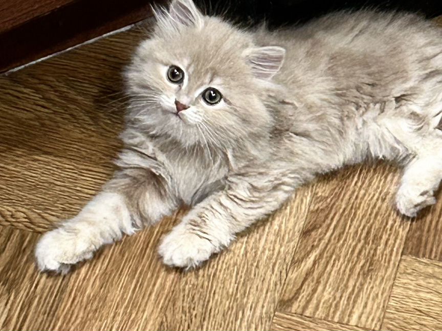 Сибирский пацан