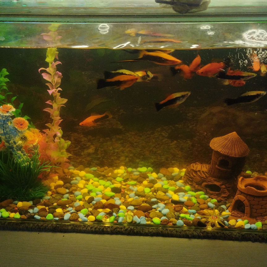 Украшение для аквариума