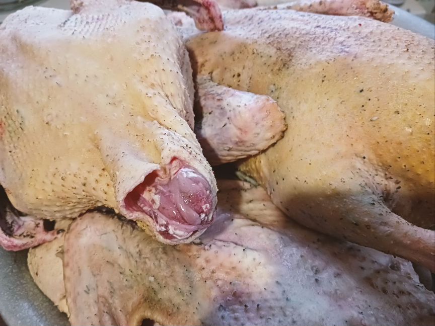 Индоутка домашняя мясо