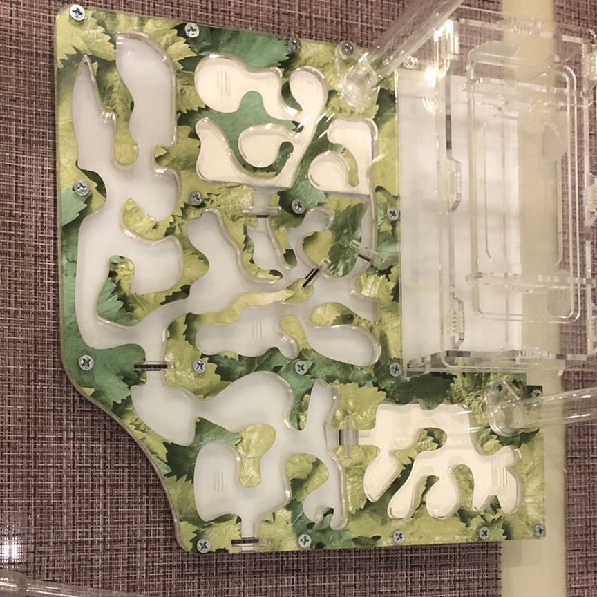 Муравьиная ферма